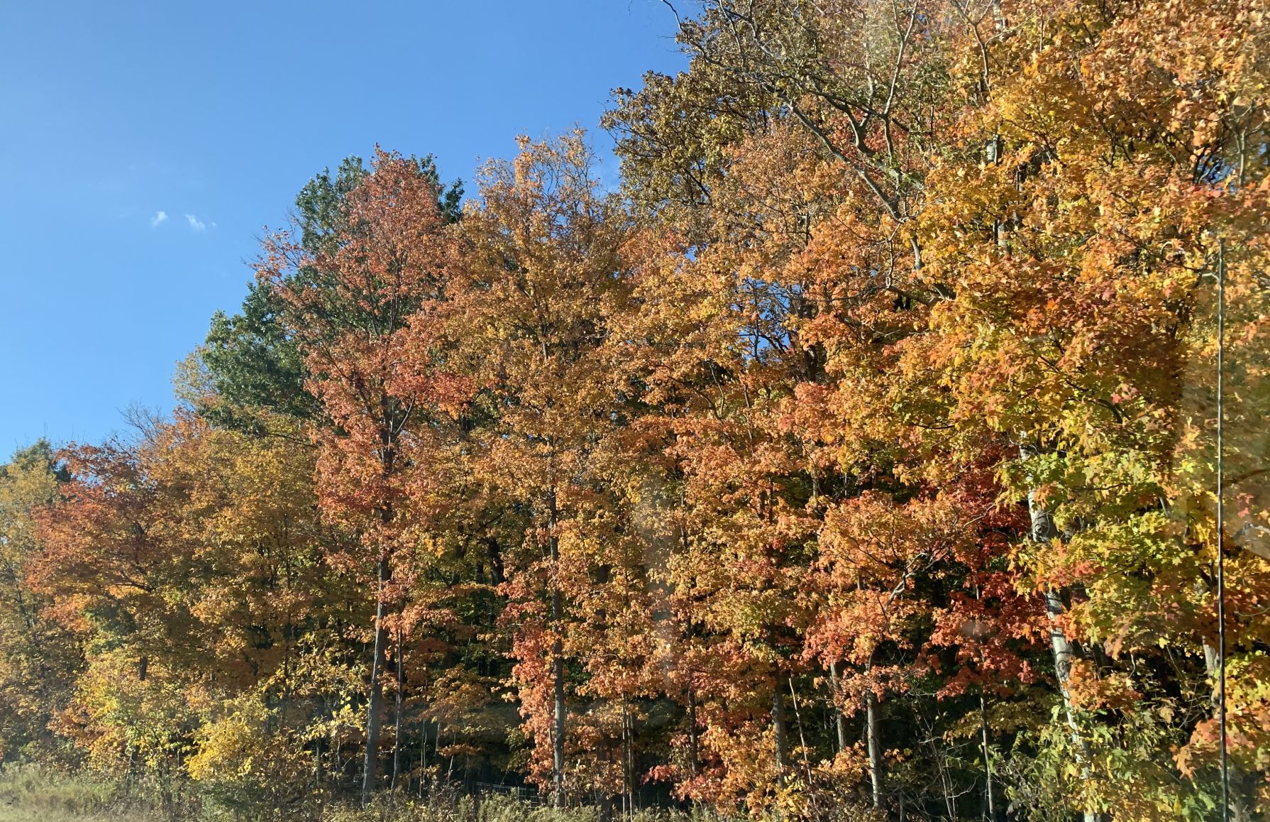 Fall foliage nears peak at Mohican State Park