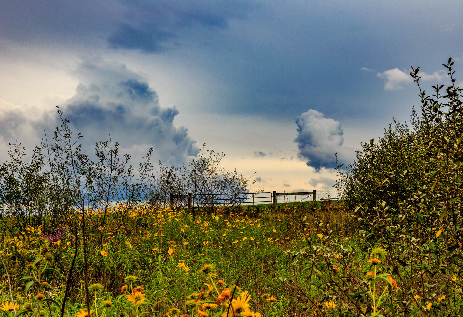 Experience the outdoors: How a repurposed landfill became the family ...