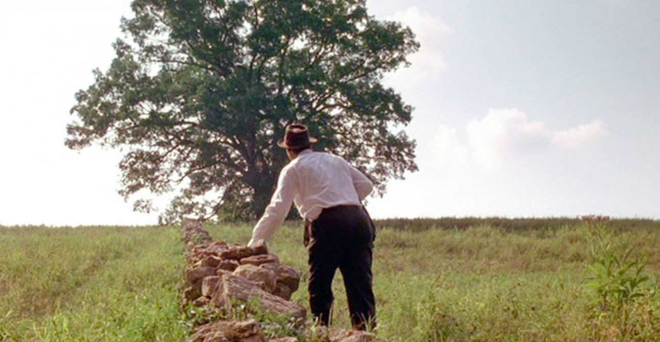 The Shawshank Oak, a symbol of hope