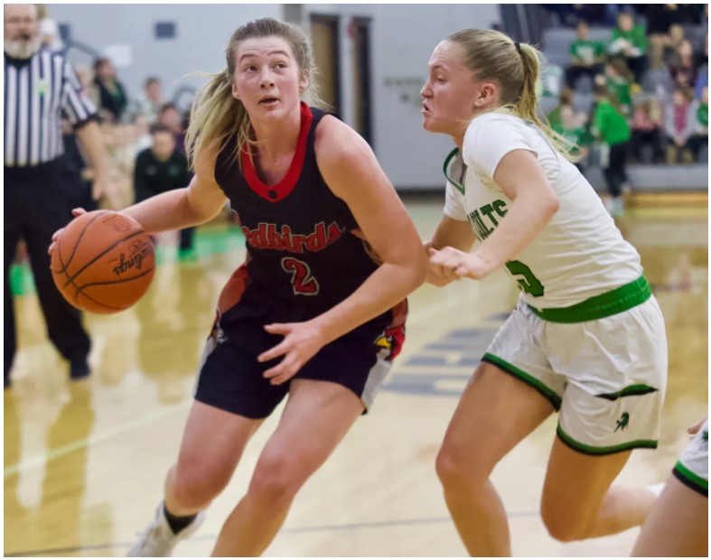 Loudonville's Vermilya is Park National Bank's Athlete of the Month