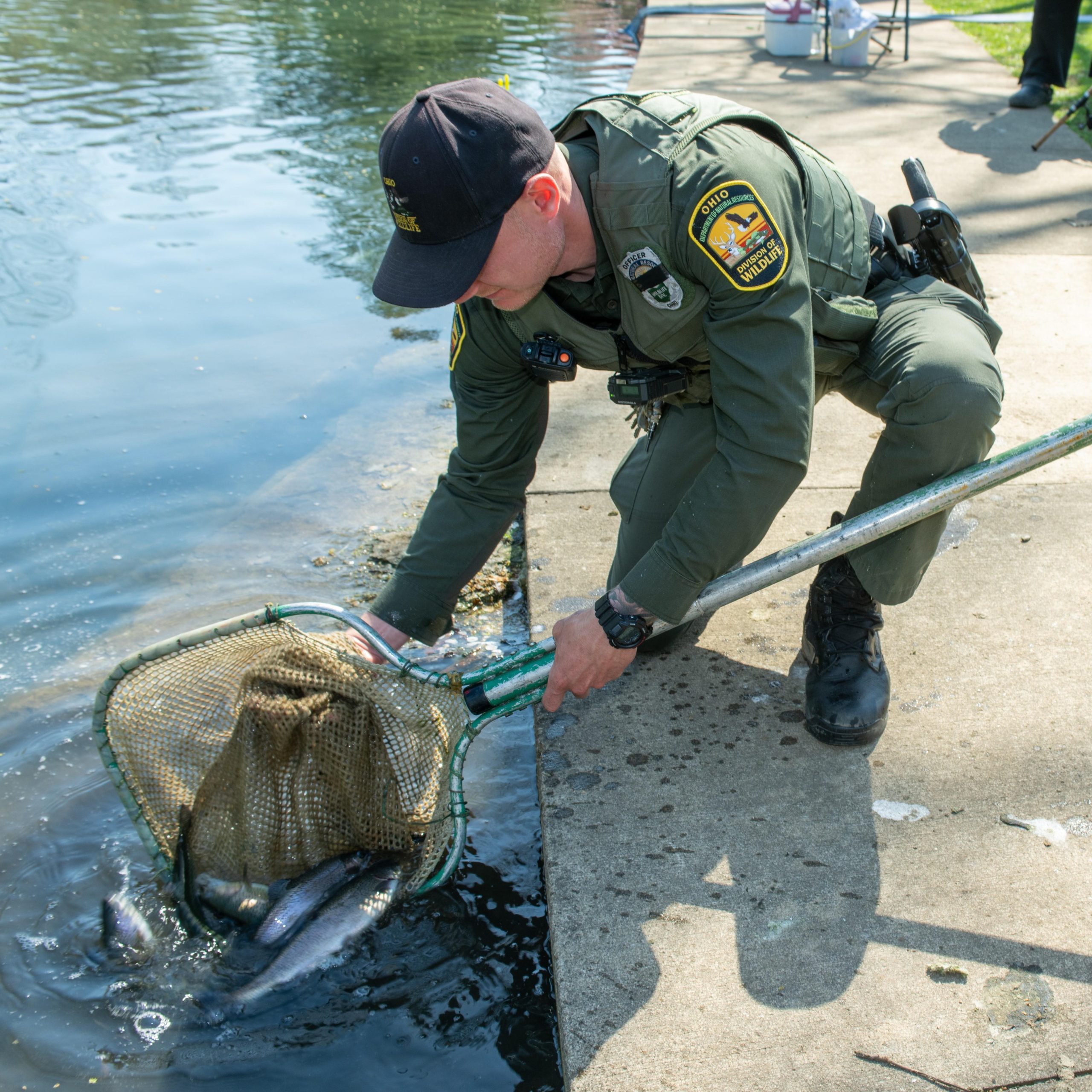 ODNR to stock rainbow trout in 4 north central Ohio lakes starting March 13